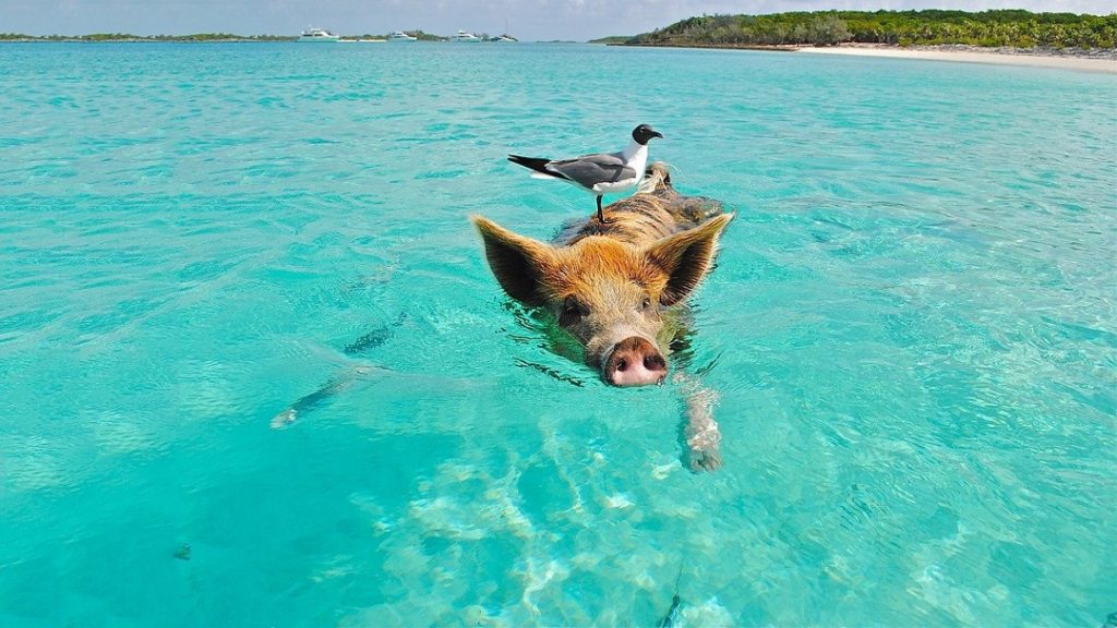 What Are The Most Surreal Places To Visit?