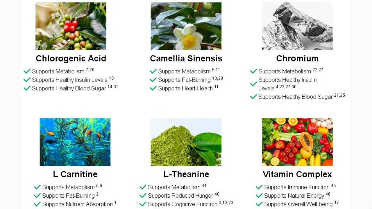 Tea Burn Review: My Personal Journey With This Supplement
